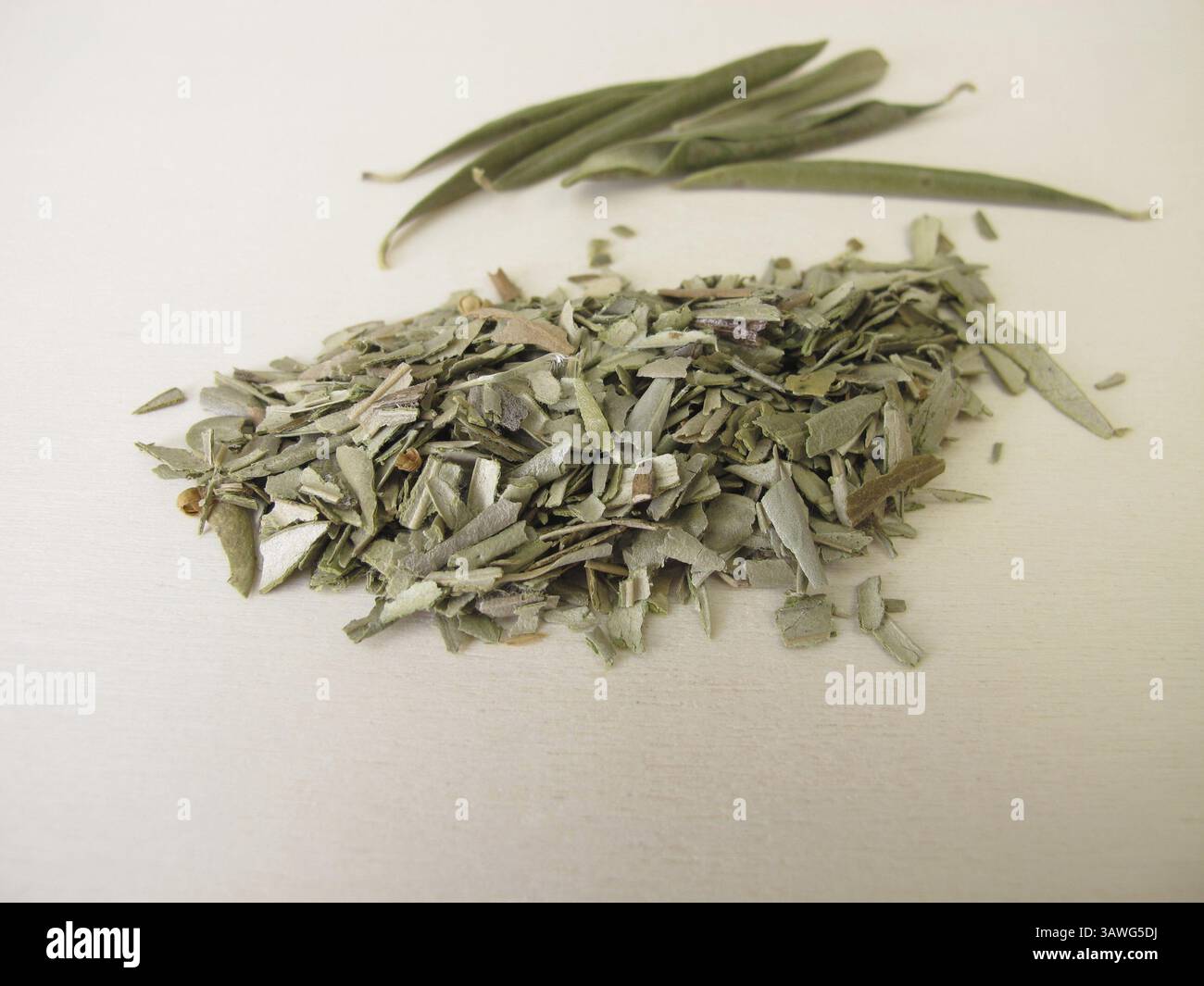 Dried and chopped olive leaves from the olive tree for olive leaf tea ...