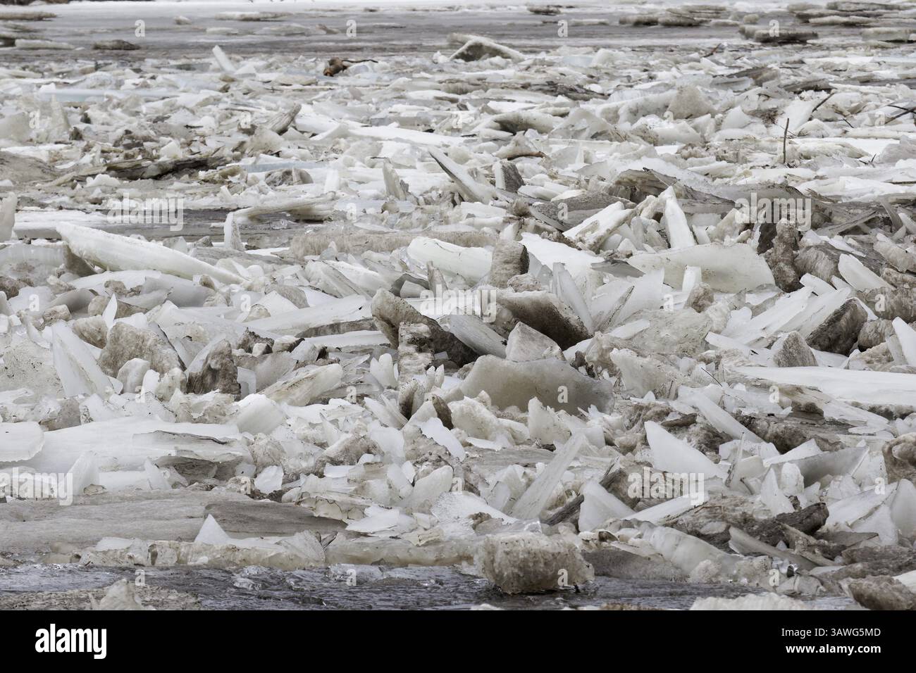 Nature, melting shelf ice structures in a frozen river, Province of ...