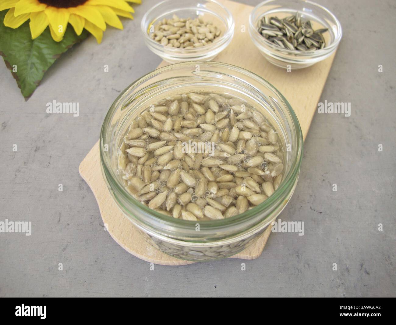 Soaked sunflower seeds, seeds from the sunflower in water Stock Photo ...