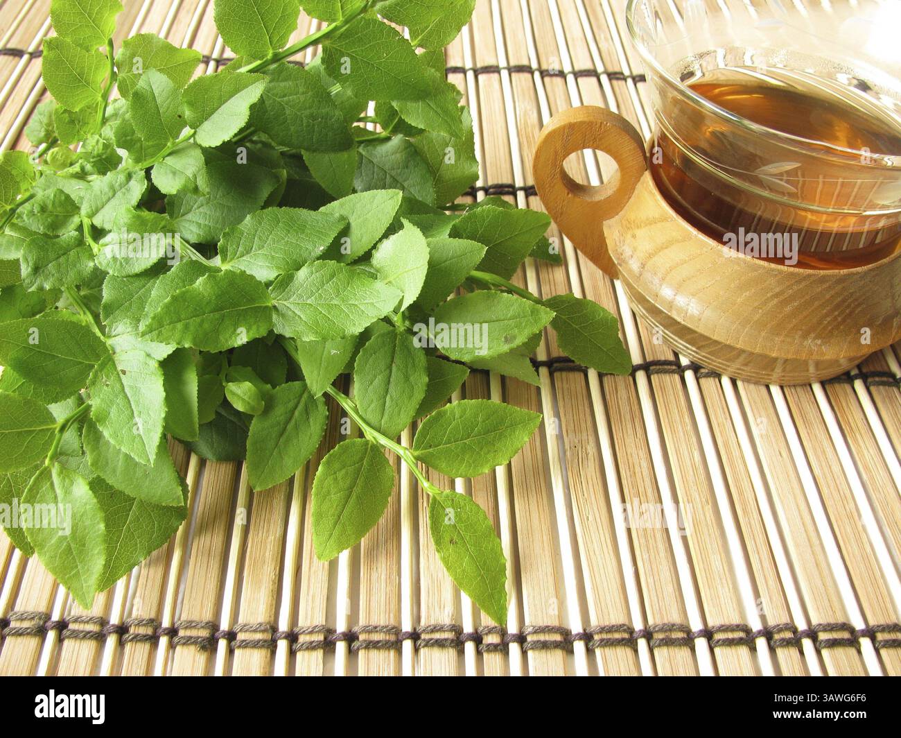 Blueberry leaf tea, blueberry leaf tea Stock Photo - Alamy