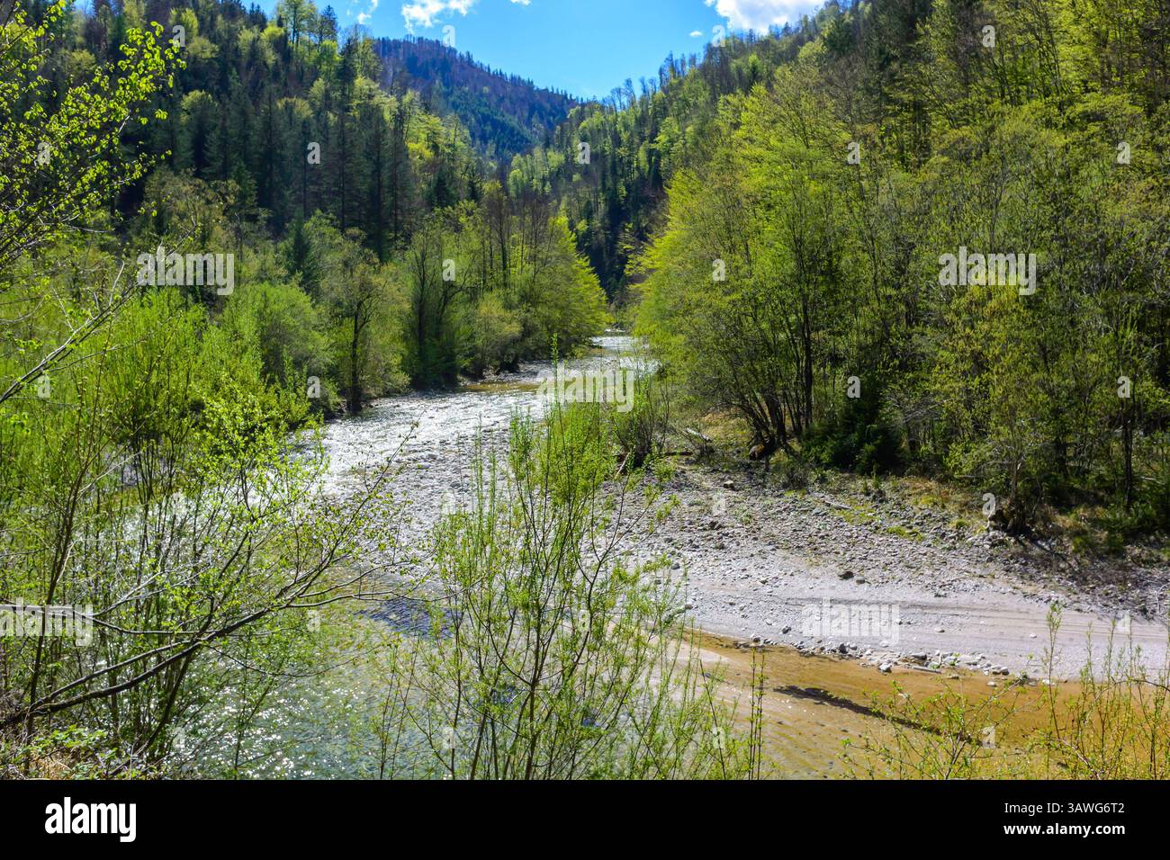 river grosser bach near grosse klause in the austrian national park ...
