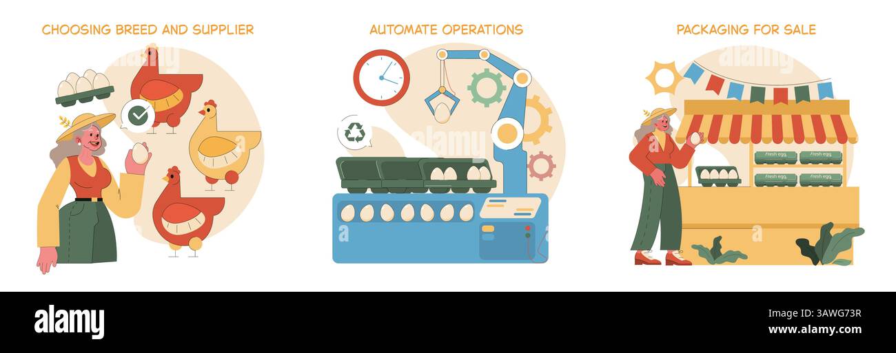 Egg Farm process illustrated through selecting breeds, automating ...