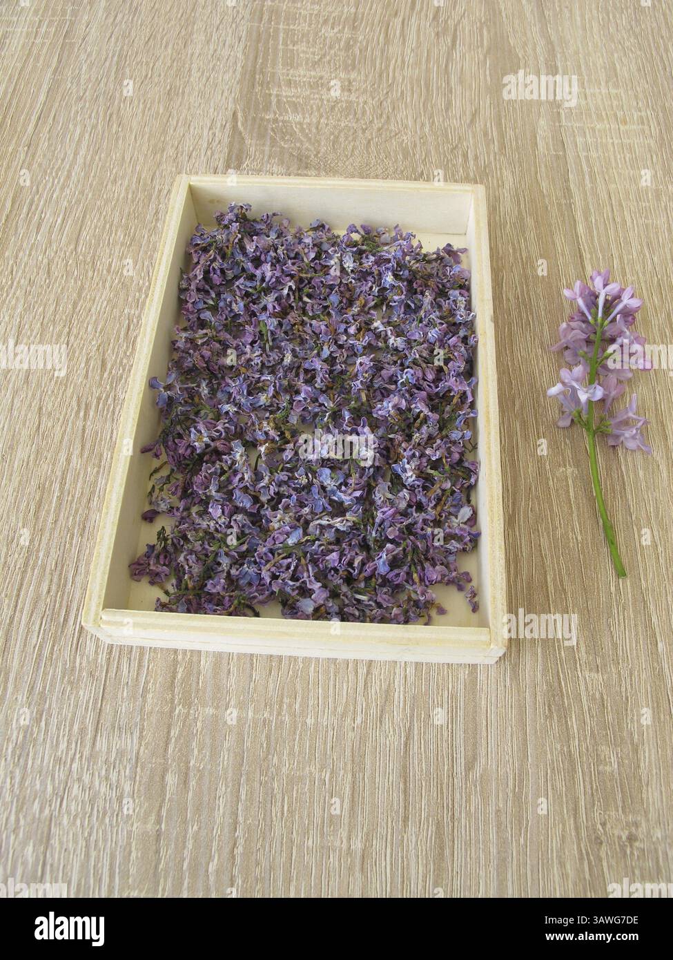 Dried lilac blossoms in a wooden box Stock Photo - Alamy