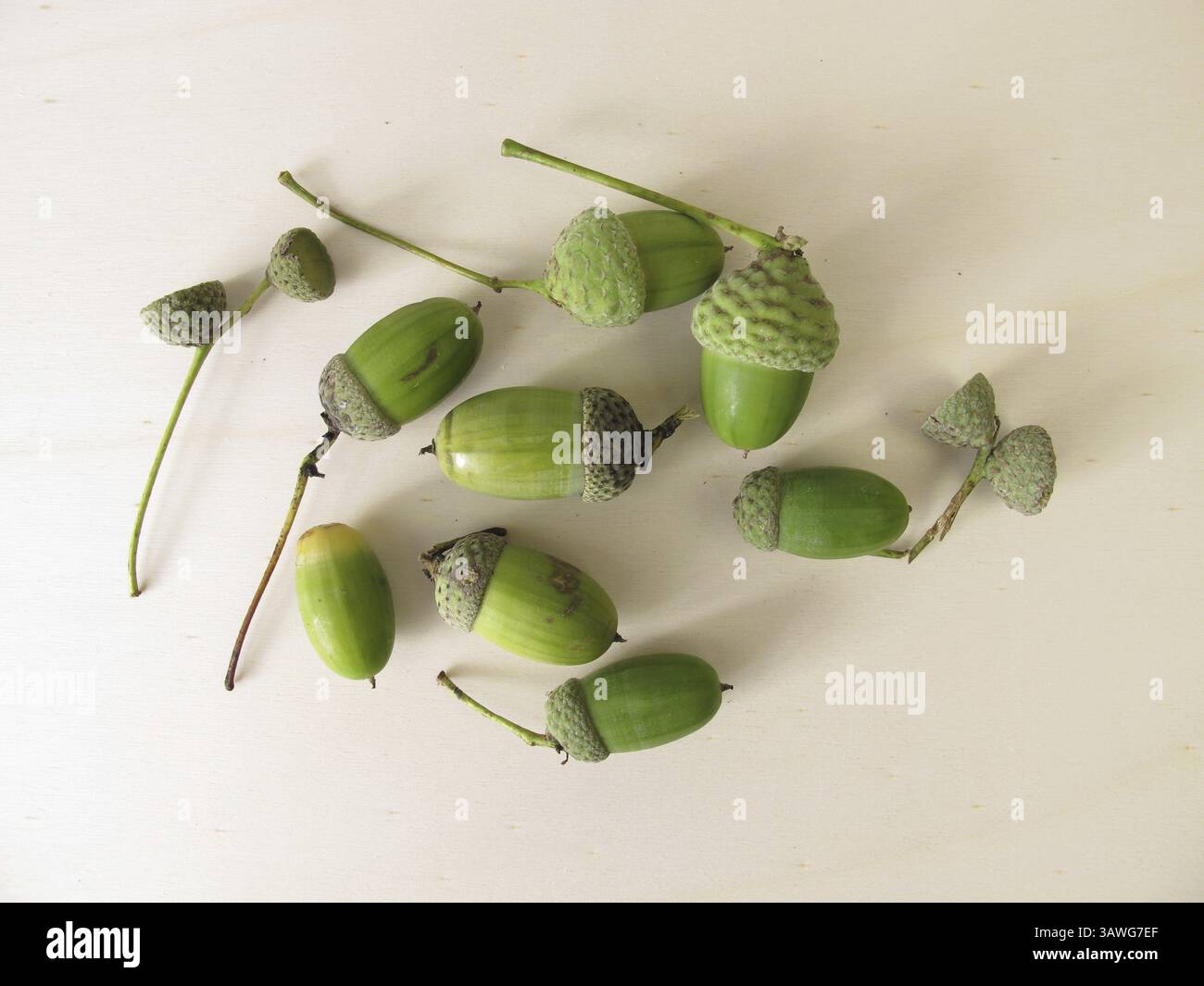 Summer caps hi-res stock photography and images - Alamy