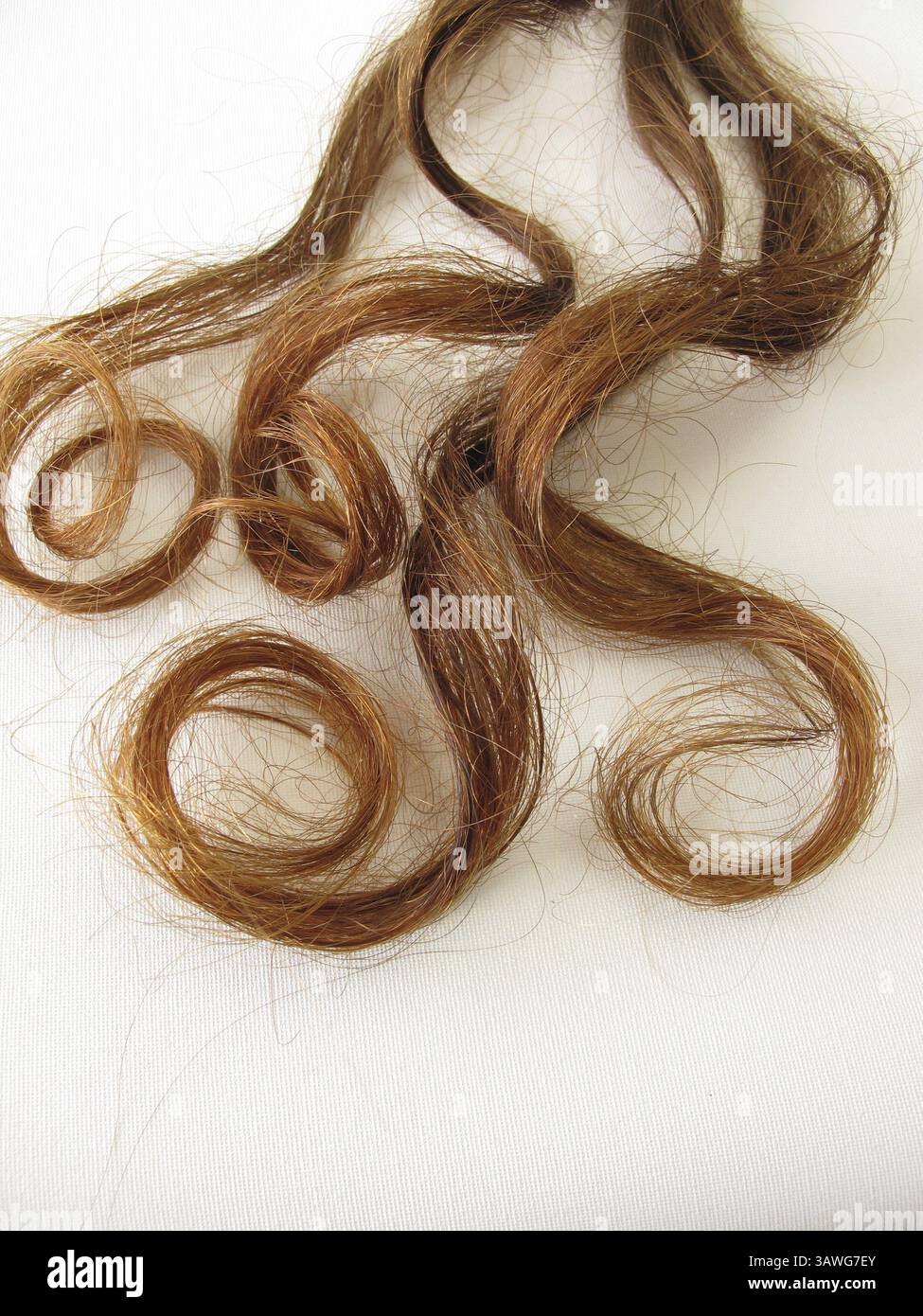 Real chestnut brown curls Stock Photo - Alamy