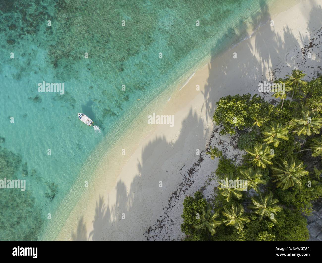 Lonely beach with a small boat and palm trees by the turquoise sea ...