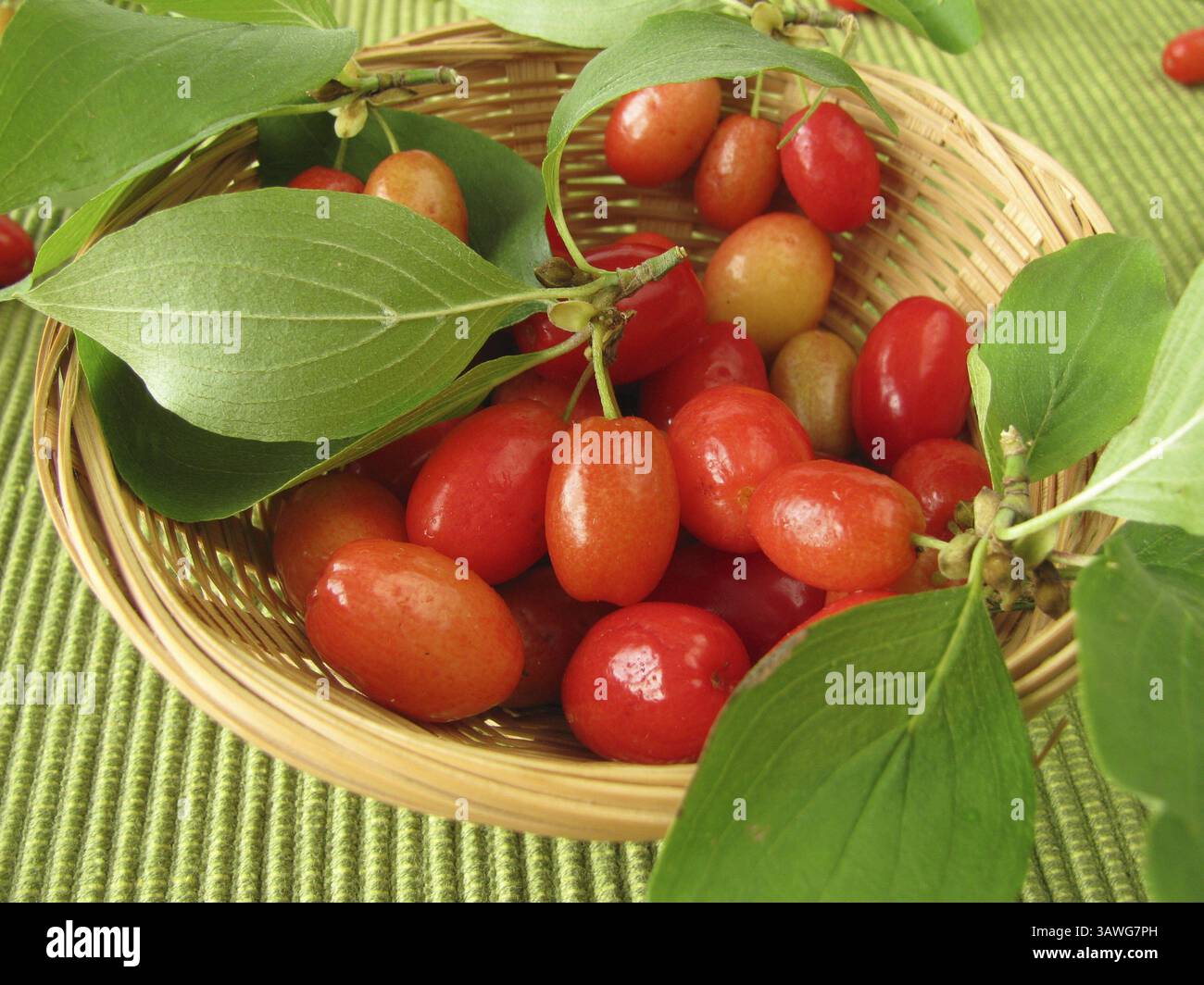 Cornelian cherry cornus mas cornaceae hi-res stock photography and ...