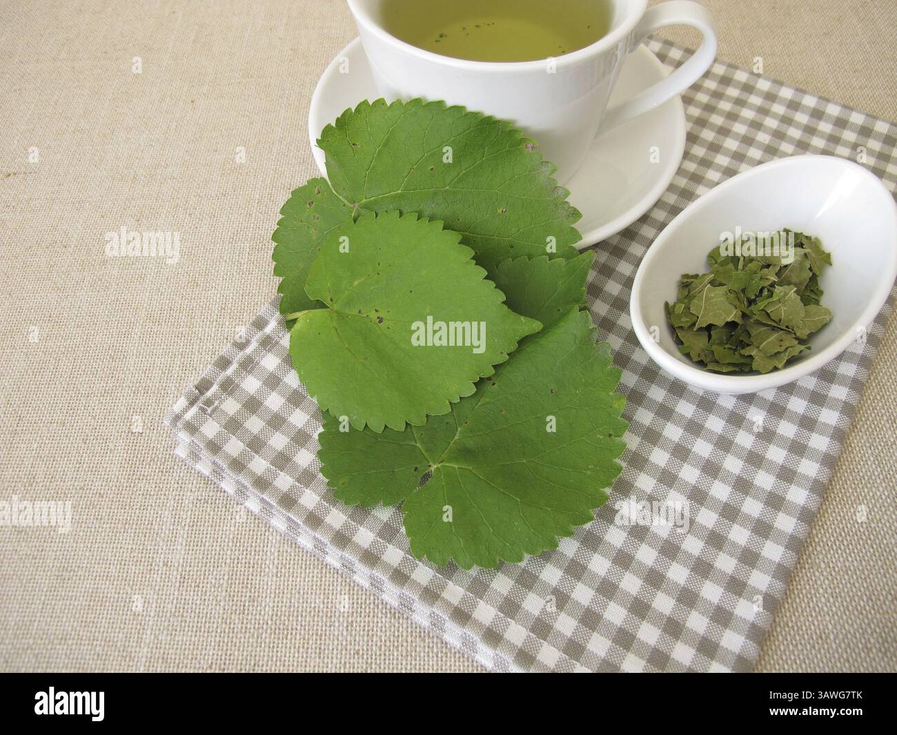Morus alba leaf tea leaves hi-res stock photography and images - Alamy