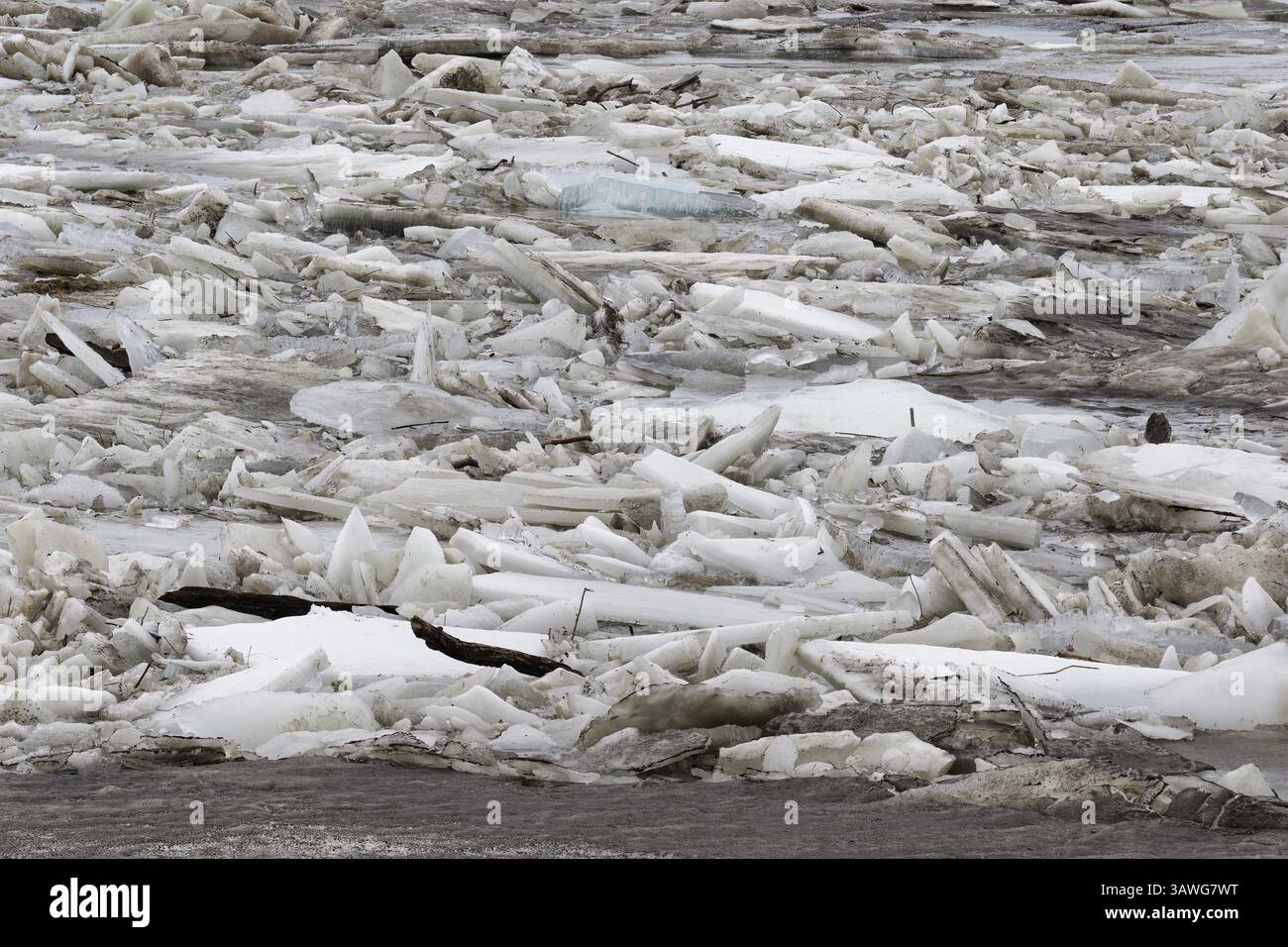 Nature, melting shelf ice structures in a frozen river, Province of ...
