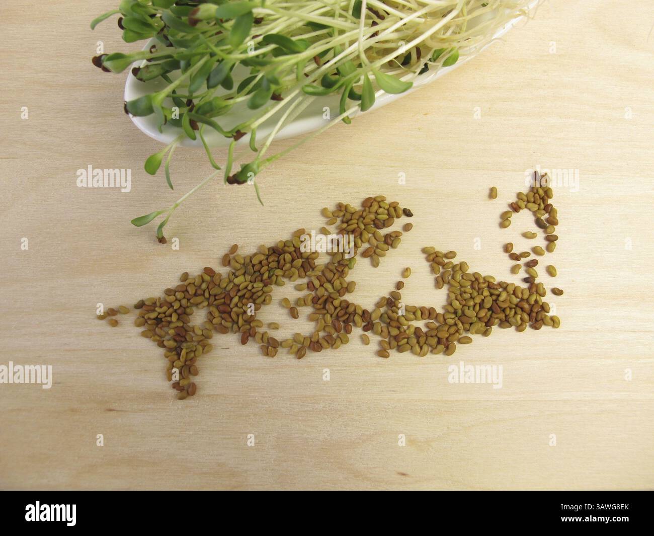 Clover sprouts hi-res stock photography and images - Alamy