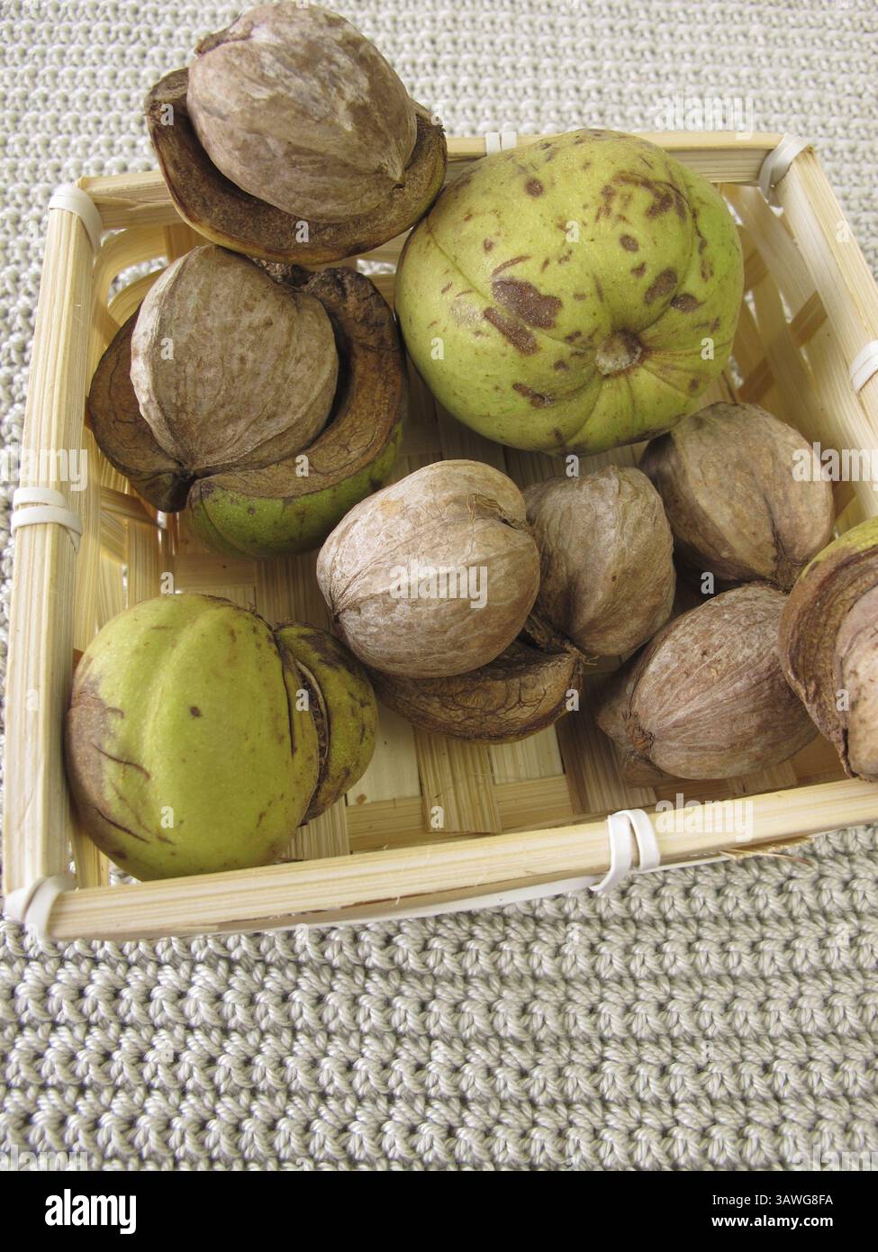 Walnut decoration hi-res stock photography and images - Alamy