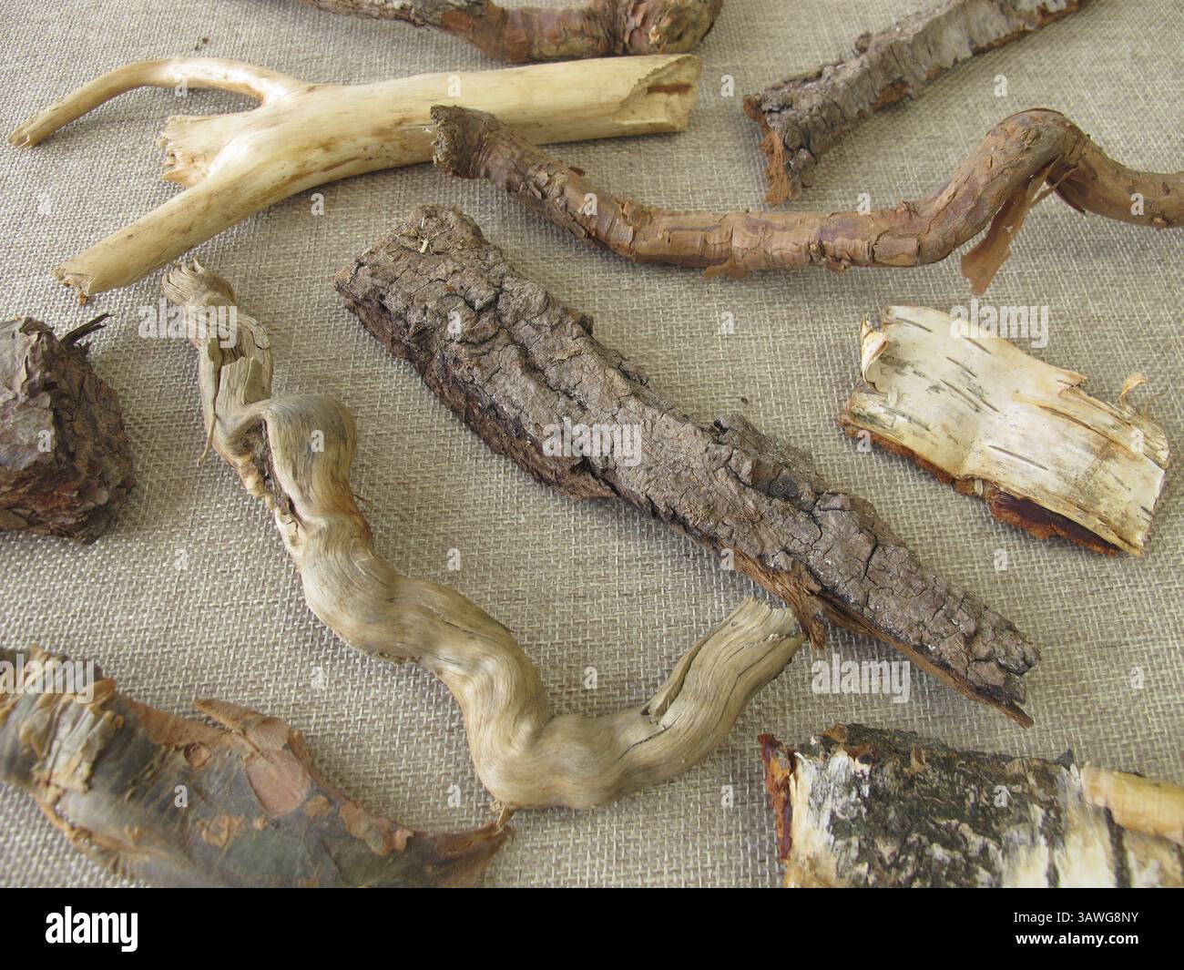 Root barks hi-res stock photography and images - Alamy