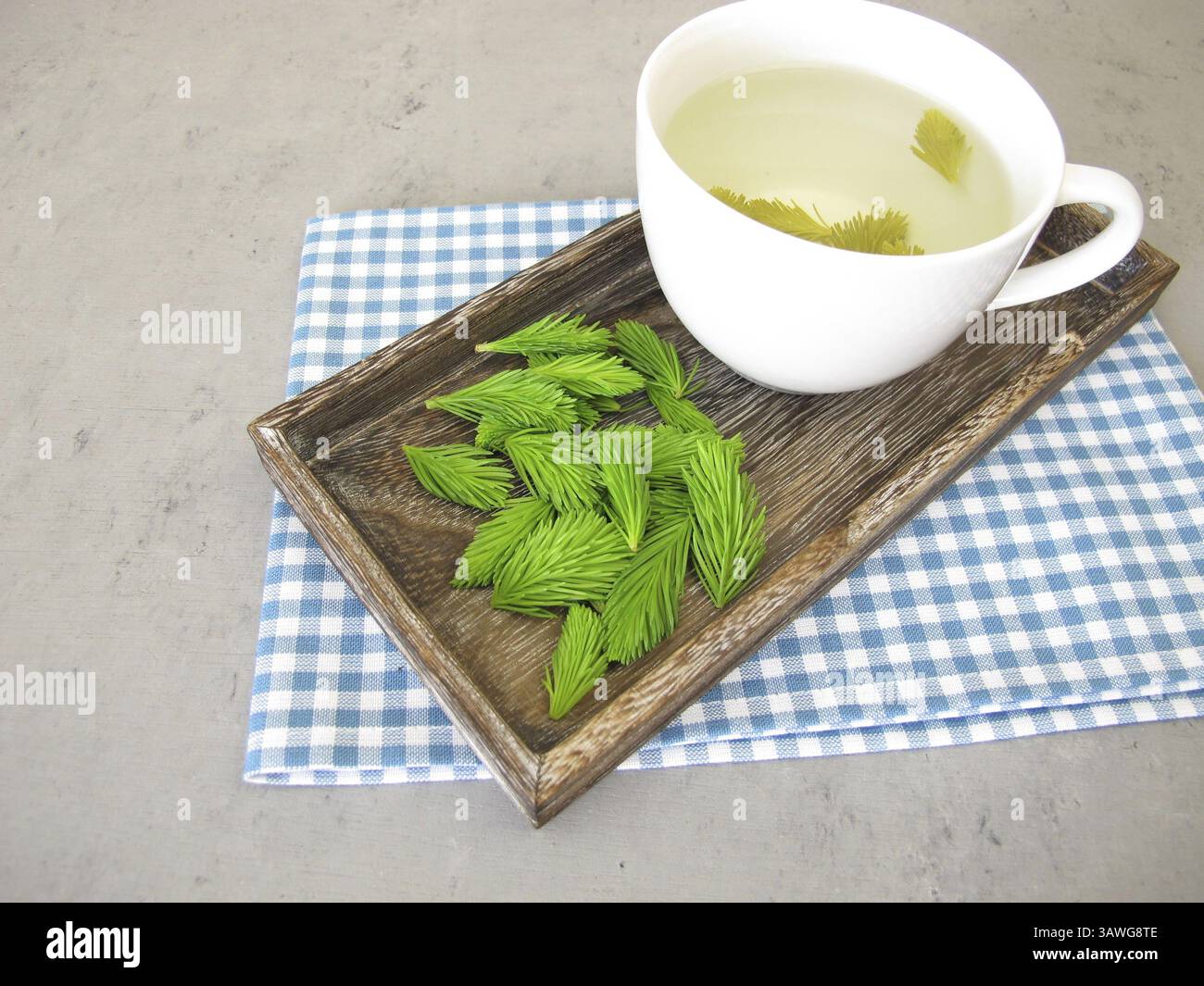 Spruce tips tea, herbal tea from young May tops Stock Photo - Alamy