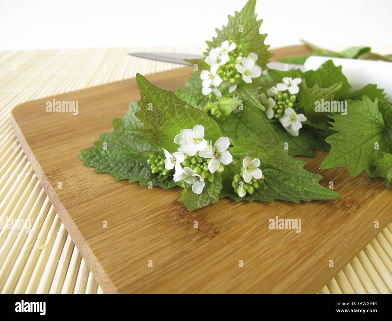 Wild vegetables Garlic rocket Stock Photo - Alamy