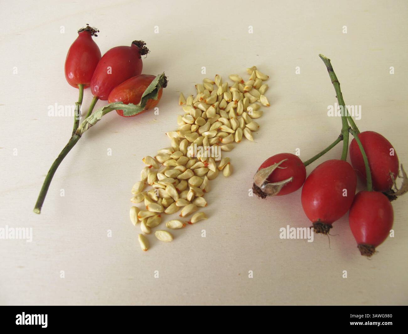 Rosehip seeds ? Seeds from the wild rose hip fruit Stock Photo - Alamy