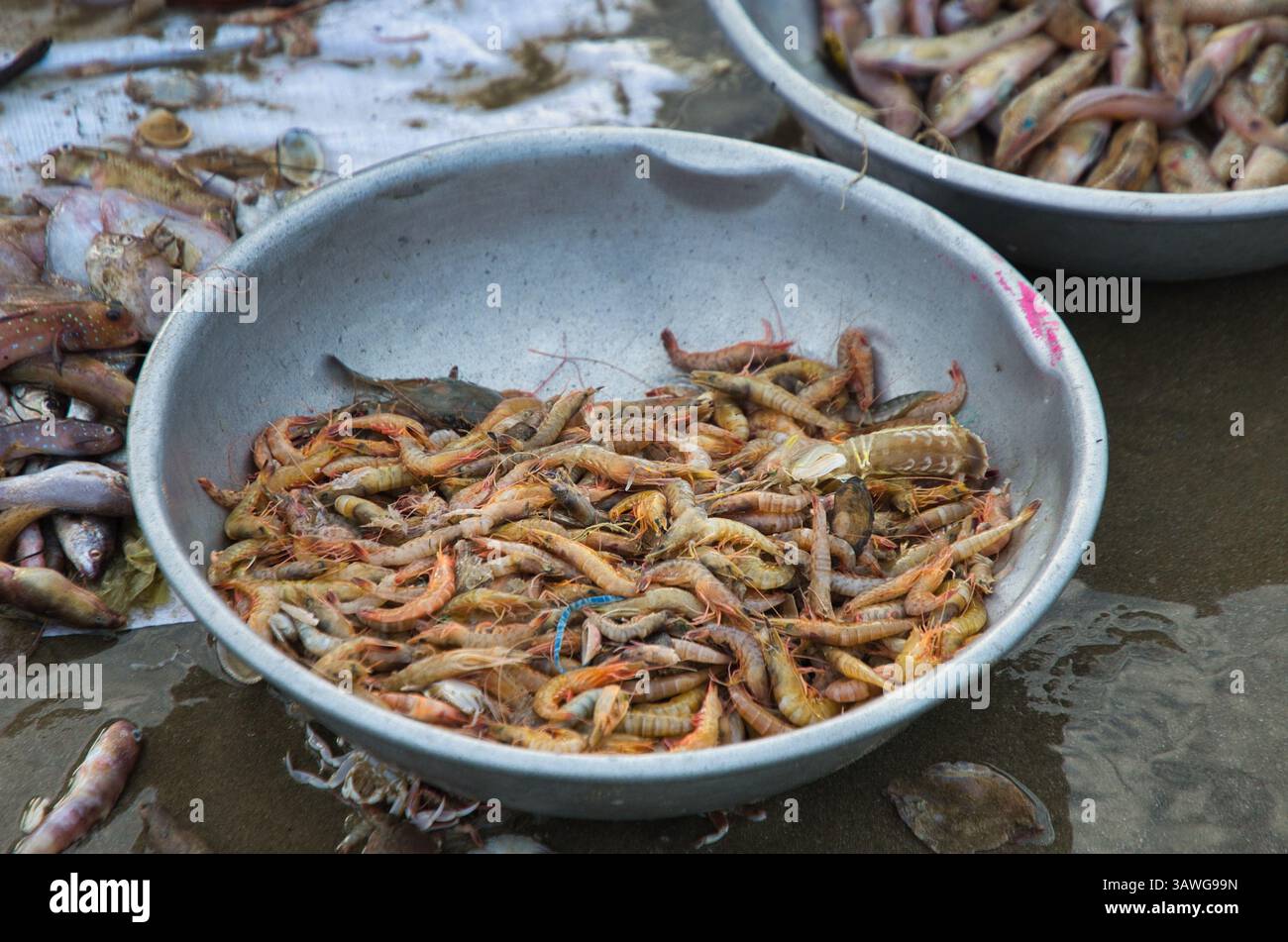 Mui Ne fish market in the morning Stock Photo - Alamy