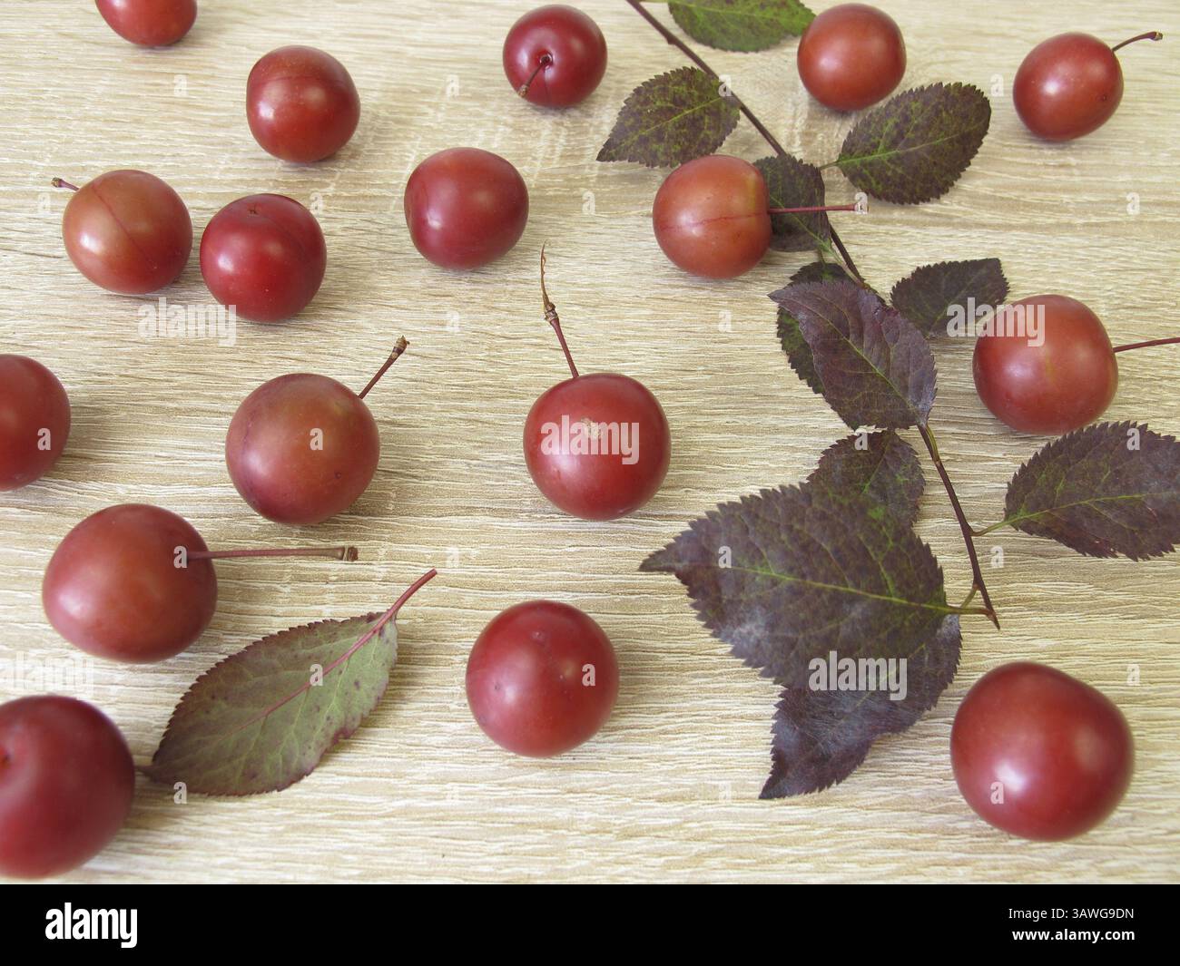 Blood plums hi-res stock photography and images - Alamy