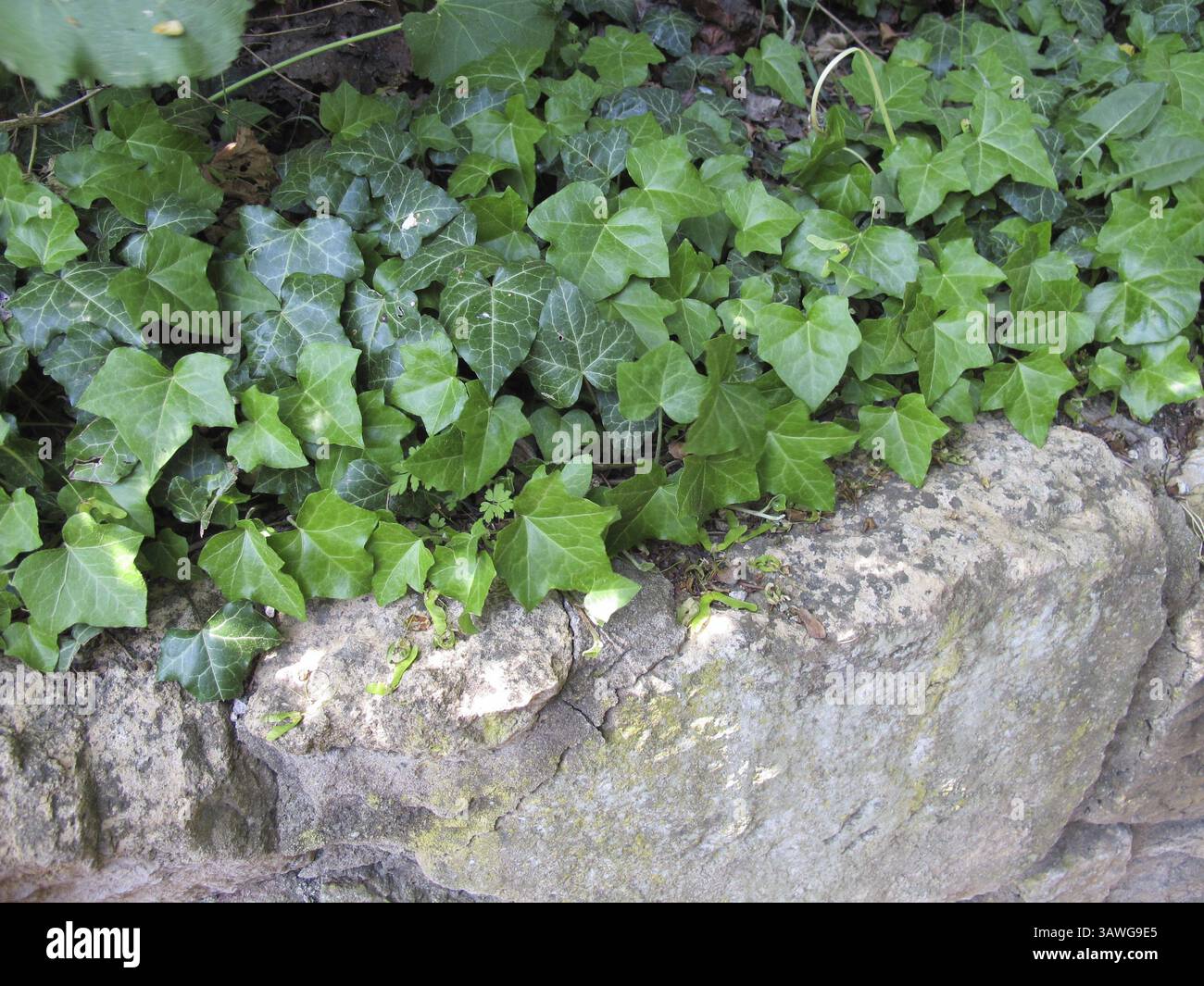 Shady transactions hi-res stock photography and images - Alamy