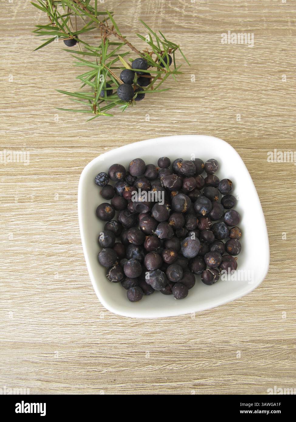 Dried juniper berries and a sprig of juniper Stock Photo - Alamy