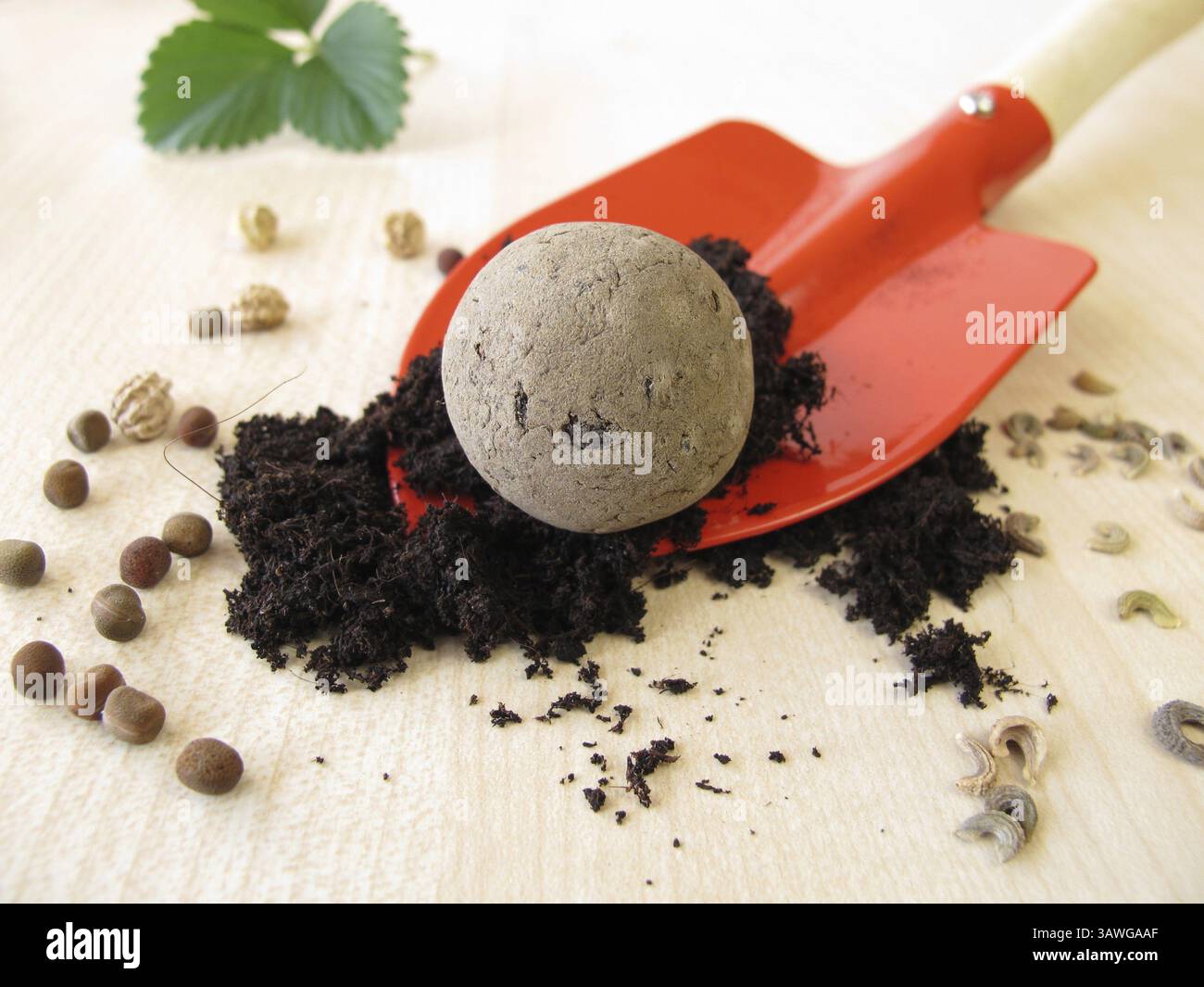 Spherical seed hi-res stock photography and images - Alamy