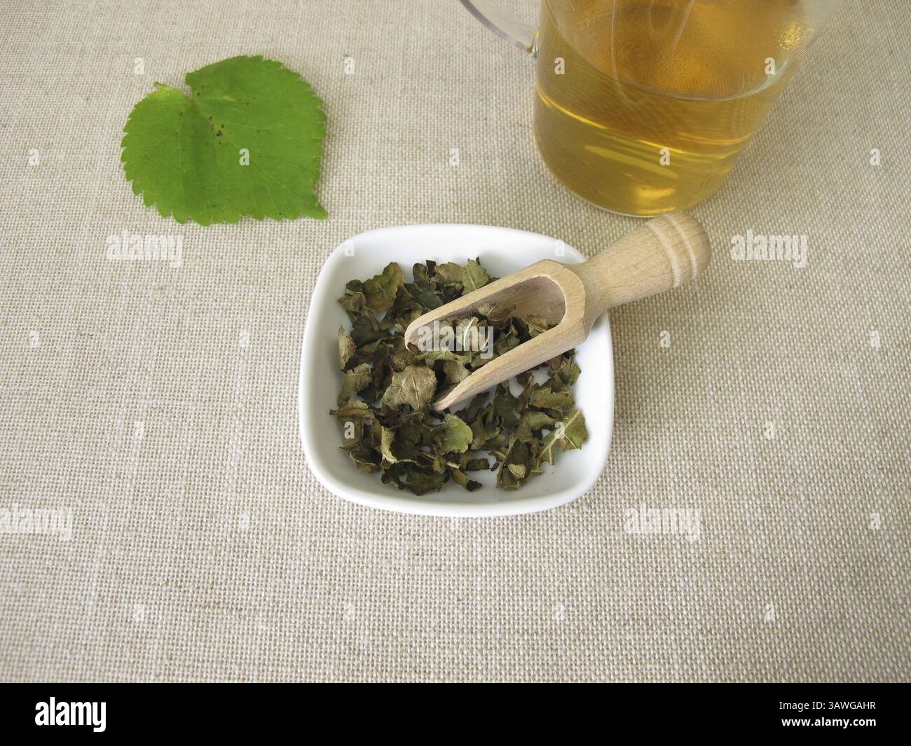 Black mulberry leaf tea: black tea made from fermented white mulberry ...
