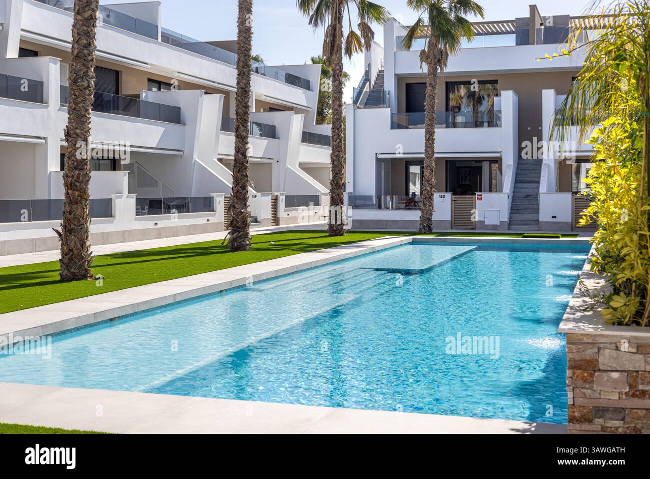 Inviting swimming pool surrounded by palm trees and modern white ...