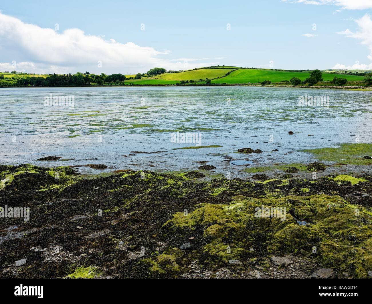 Scenic view of Inchydoney Island showcasing lush green landscape and ...