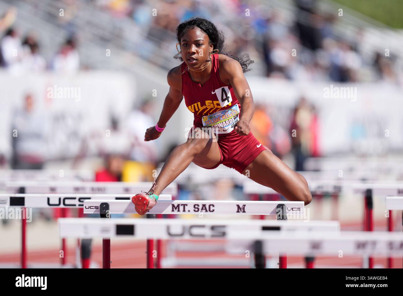 Kaylin Edwards (4026) of Long Beach Wilson girls shuttle hurdle relay ...