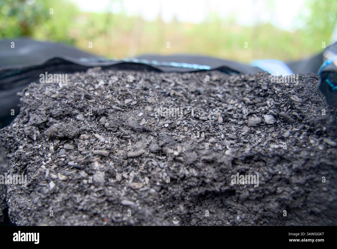 Close-up of biochar, produced through wood pyrolysis, a sustainable ...