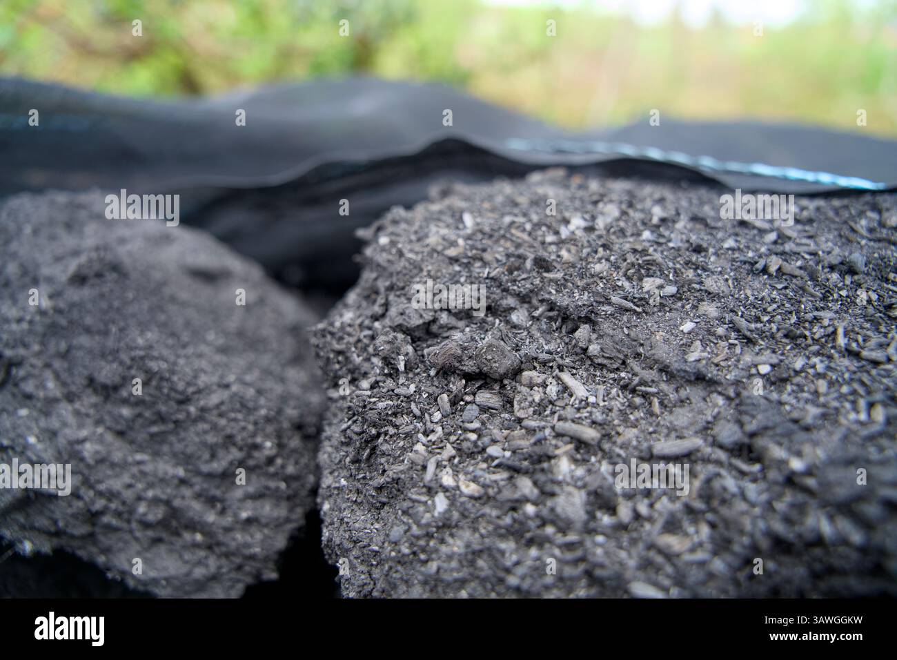 Close-up of biochar, produced through wood pyrolysis, a sustainable ...