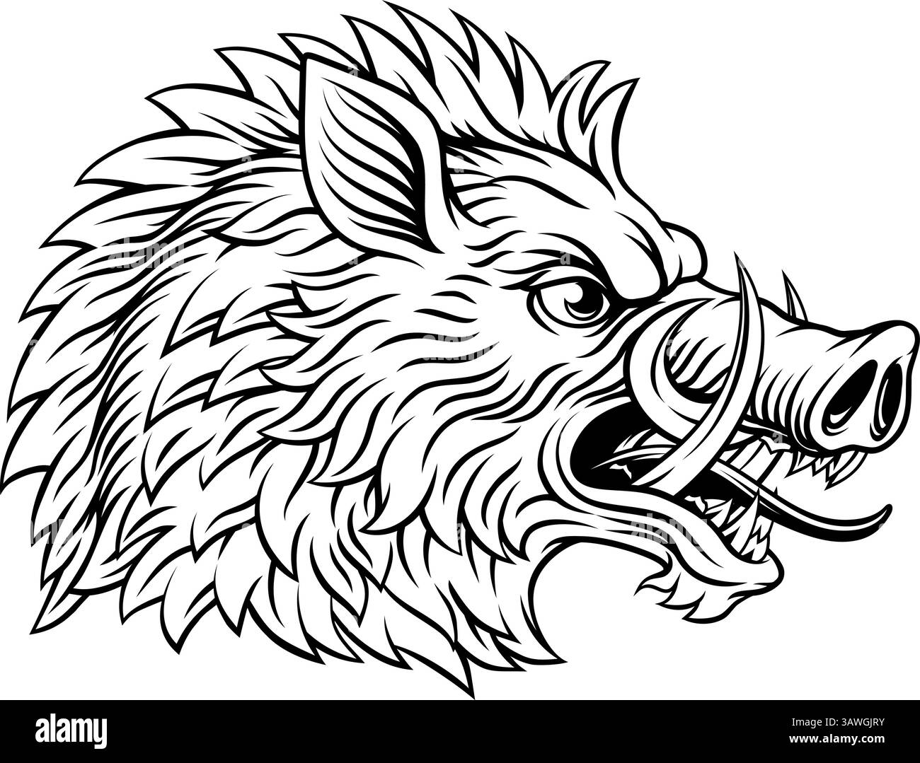 Boar Head Woodcut Etching Vintage Style Stock Vector Image & Art - Alamy