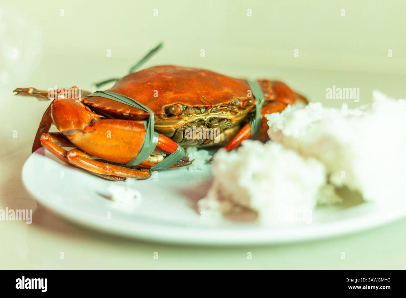 A plate of freshly cooked mud crab served with white rice in Aklan ...