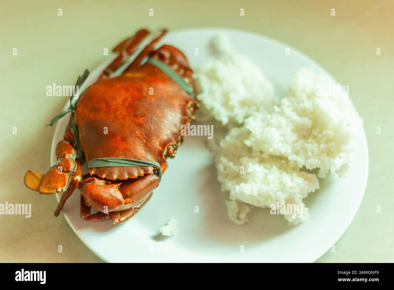 A plate of freshly cooked mud crab served with white rice in Aklan ...