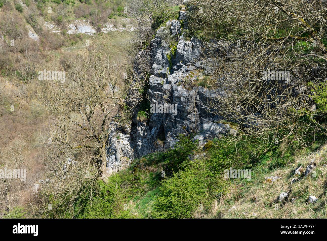 Deep Dale near Buxton, Peak District, Derbyshire, England Stock Photo ...