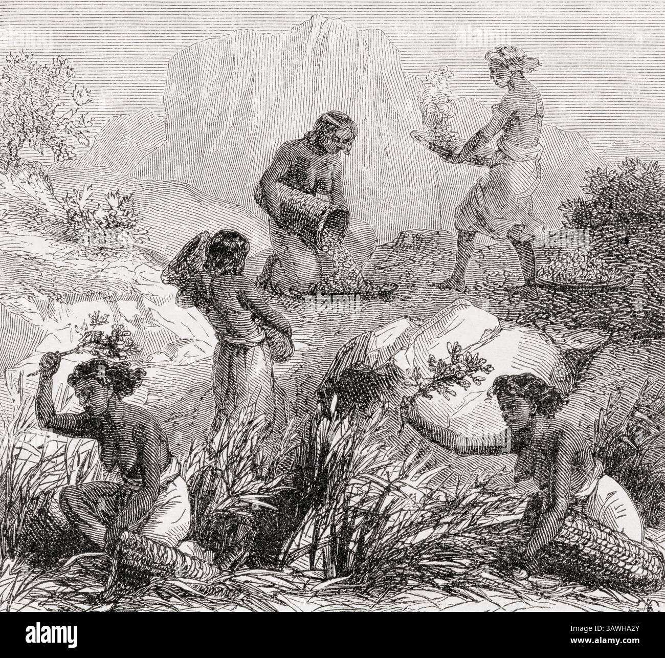 California native american 19th century hi-res stock photography and ...