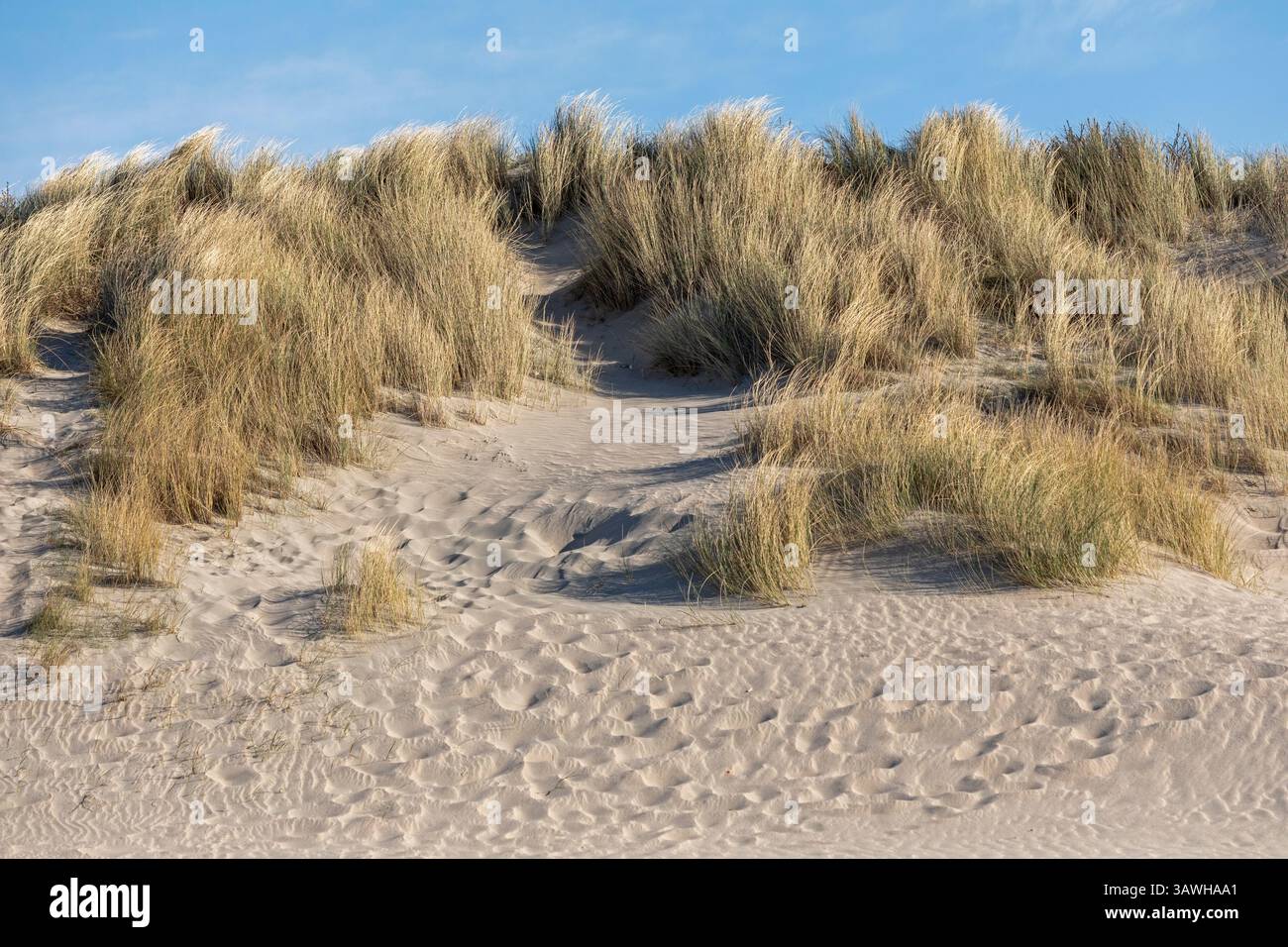 Sand dunes hoek van hi-res stock photography and images - Alamy