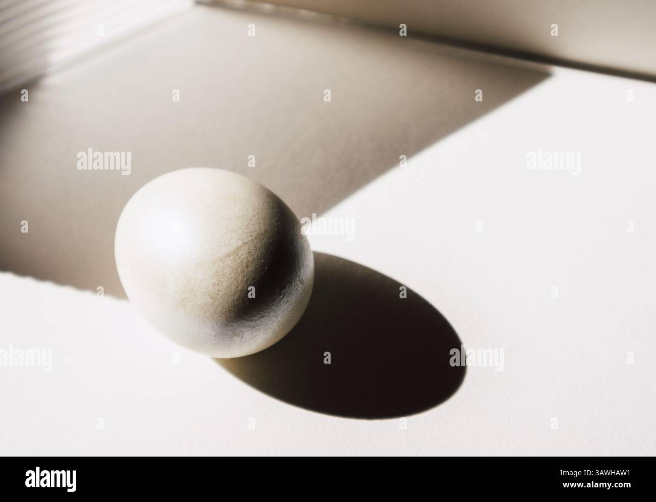 A pearl white egg casts a strong shadow on a white surface, dramatic ...