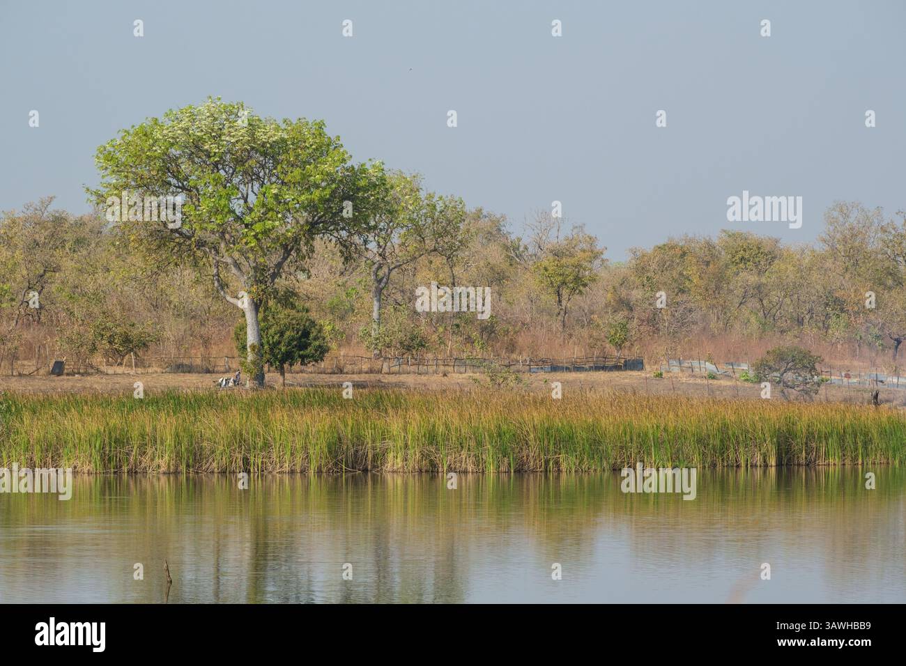 Ghana, Sahel Wetlands Area south of Bole, along Highway N12 Stock Photo ...