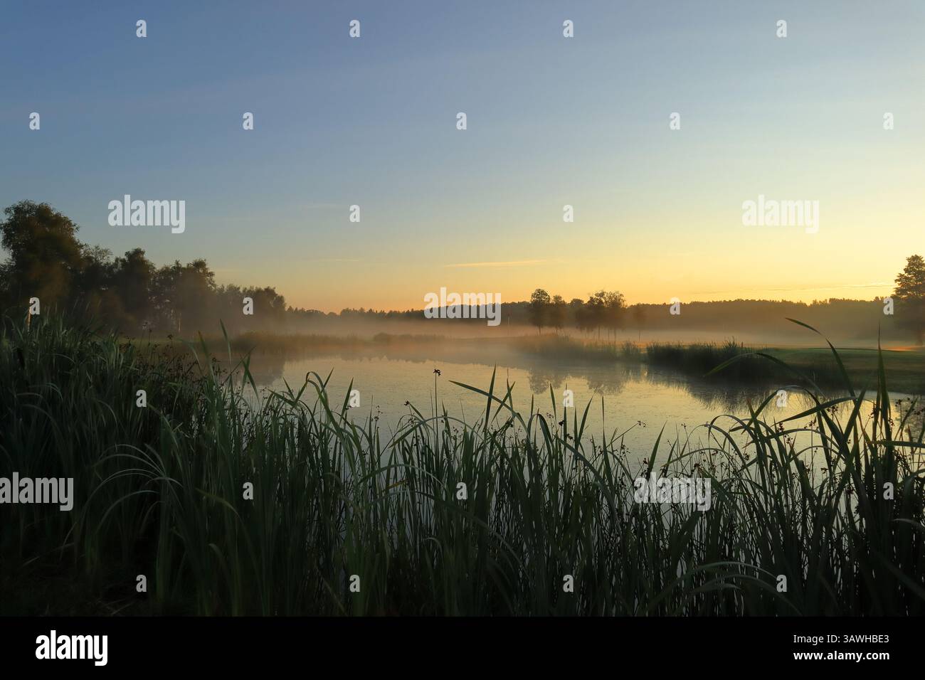 Misty landscape in the early morning at a golf course. Sun risning the ...