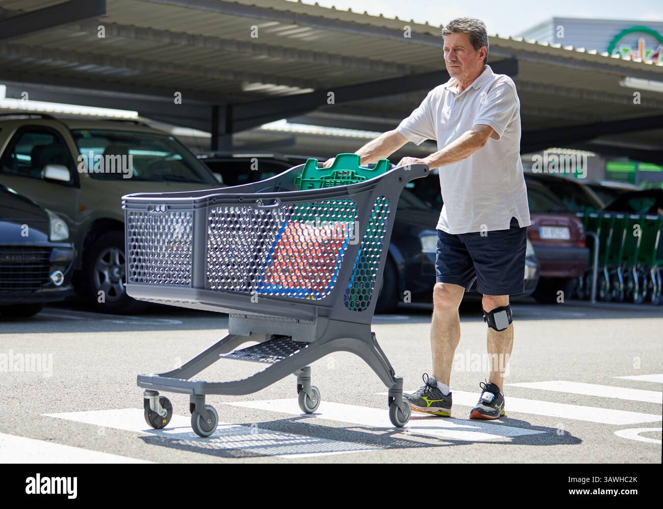 Mechanism, Gait neurorehabilitation device for people who suffer from ...
