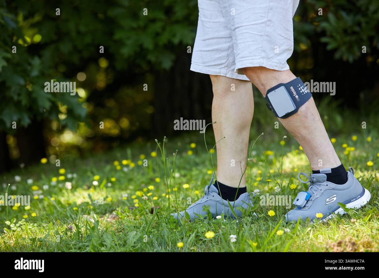 Mechanism, Gait neurorehabilitation device for people who suffer from ...