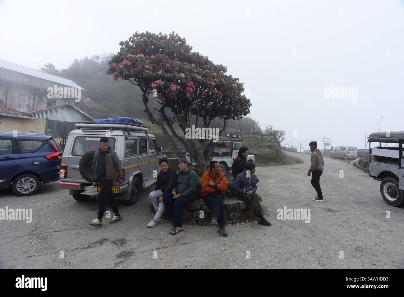 Men chat under a tree in Chitrey, Darjeeling, West Bengal Stock Photo ...