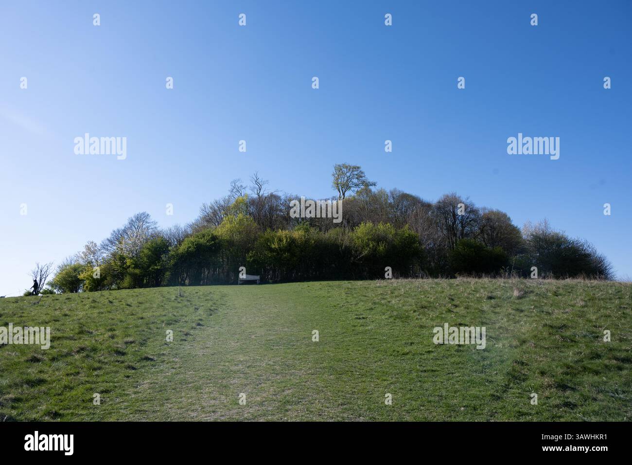 Views from Wittenham Clumps, Oxfordshire Stock Photo - Alamy