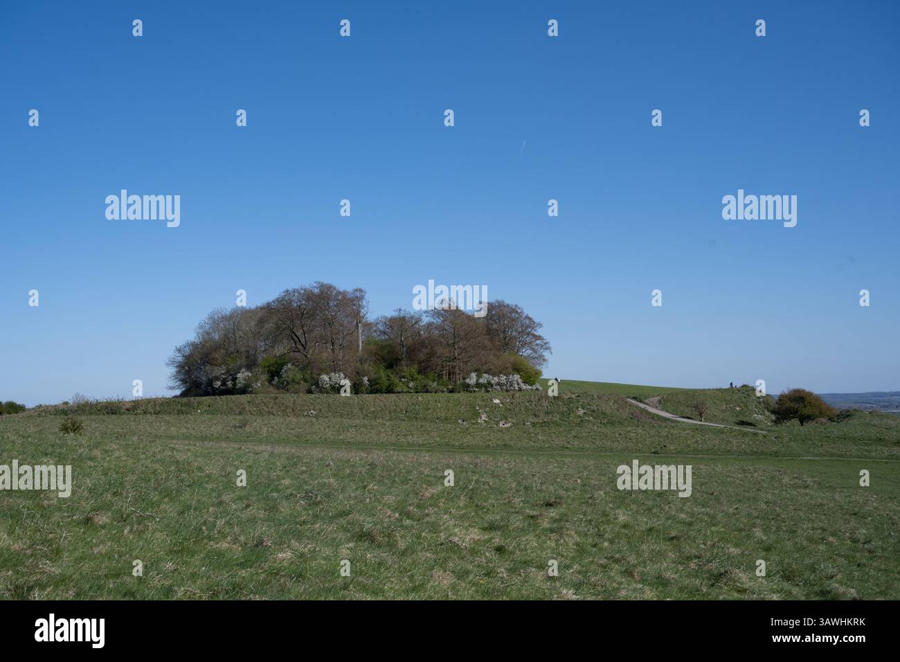 Views from Wittenham Clumps, Oxfordshire Stock Photo - Alamy