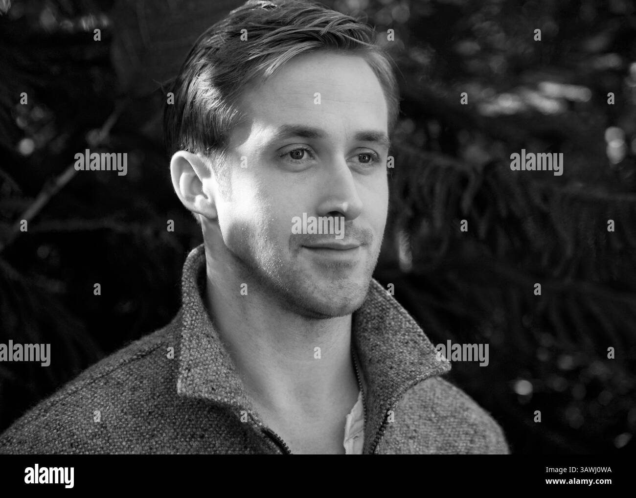 Ryan gosling the mickey mouse club Black and White Stock Photos ...