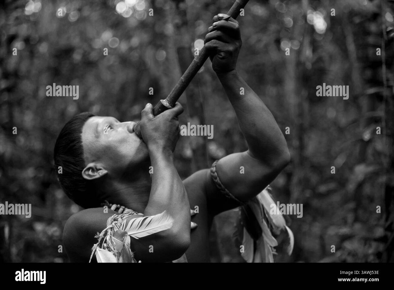 RELEASE DATE: February 17, 2016TITLE: Embrace of the Serpent aka El ...