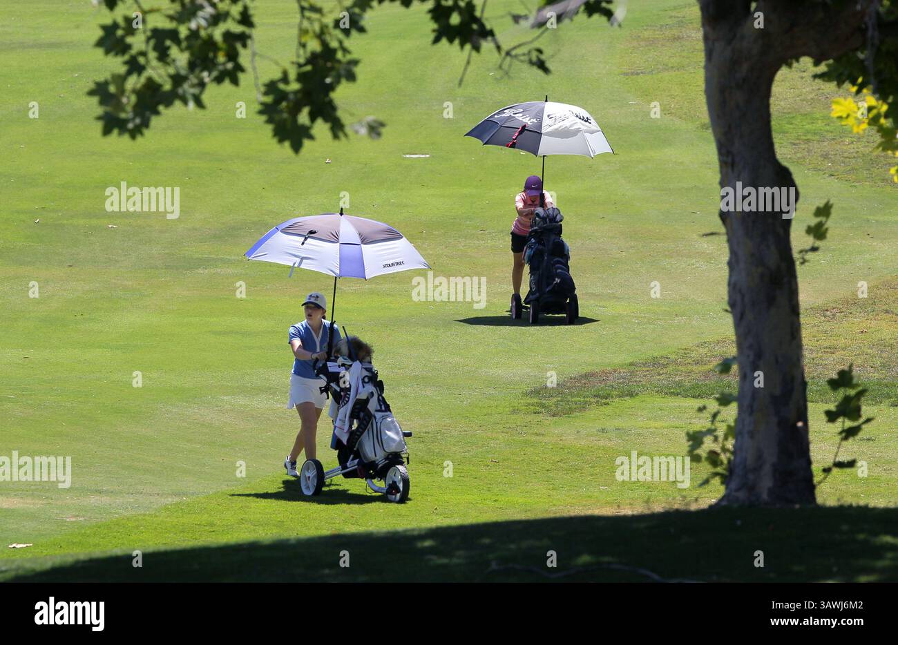 Fiona xu hi-res stock photography and images - Alamy