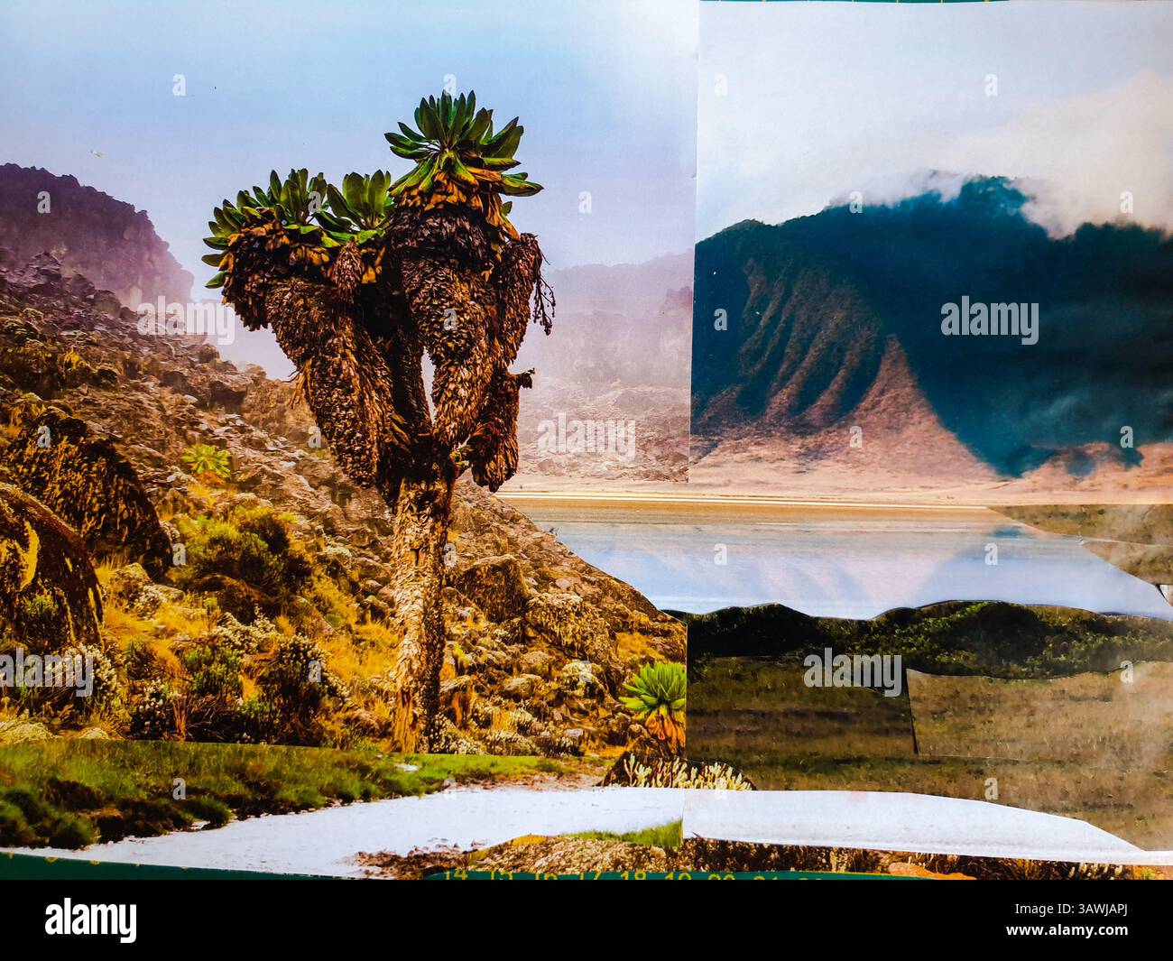 Conceptual collage art of an imperfect landscape Stock Photo - Alamy