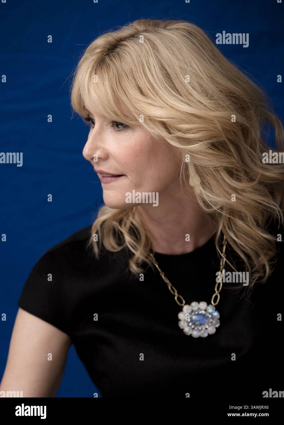 October 14, 2011 - Hollywood, California, U.S. - LAURA DERN promotes ...