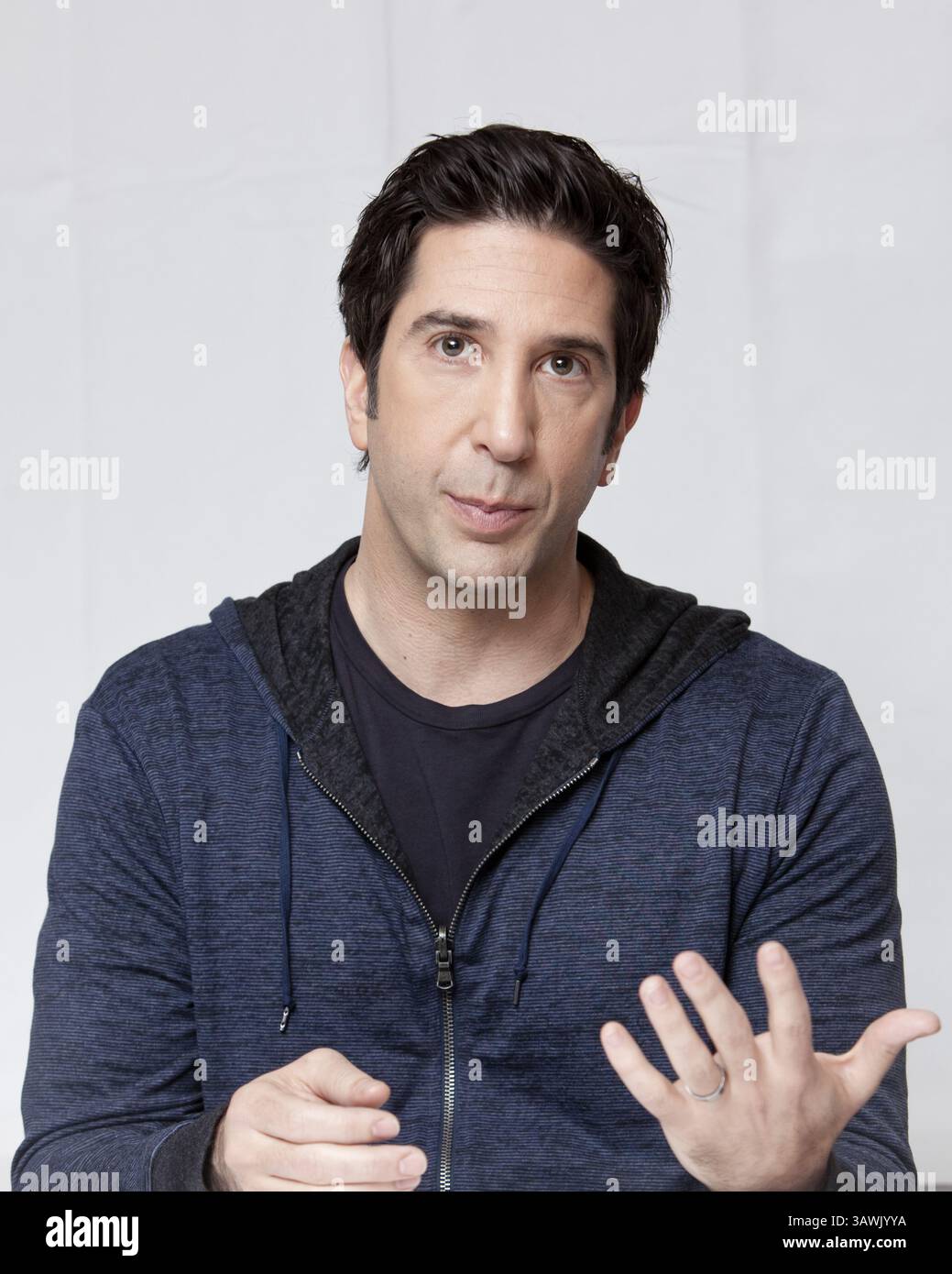 March 15, 2012 - Hollywood, California, U.S. - David Schwimmer of the film ''Madagascar 3 ...